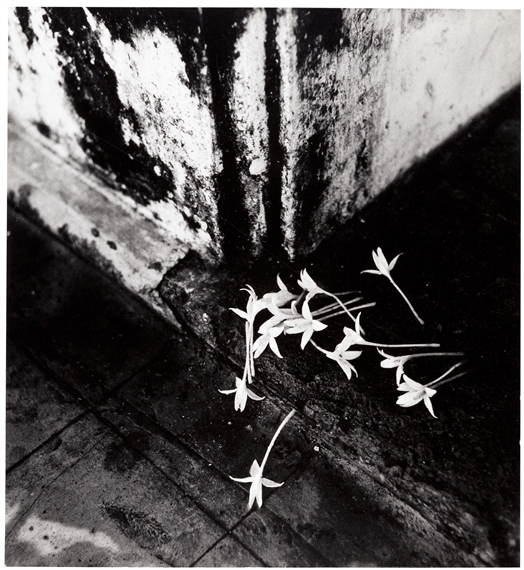 Dorothea Lange | Hand, Indonesian Dancer, Java (1958) | MutualArt