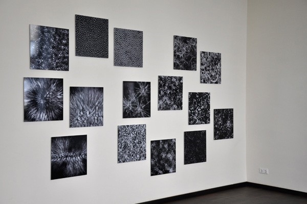 Casey Reas | Process Compendium (2010) | Available for Sale on MutualArt