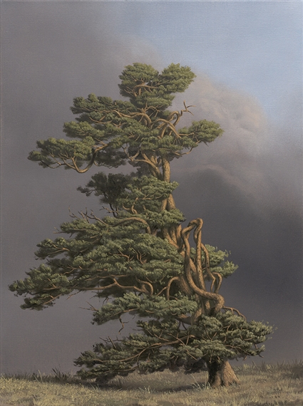 Markus Matthias Krüger- Life, Art & Legacy | MututalArt