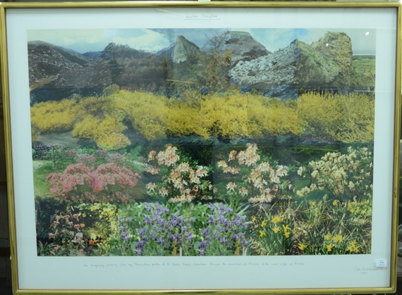 Peter Hutchinson | Western Hemisphere An Imaginary Journey from My ...