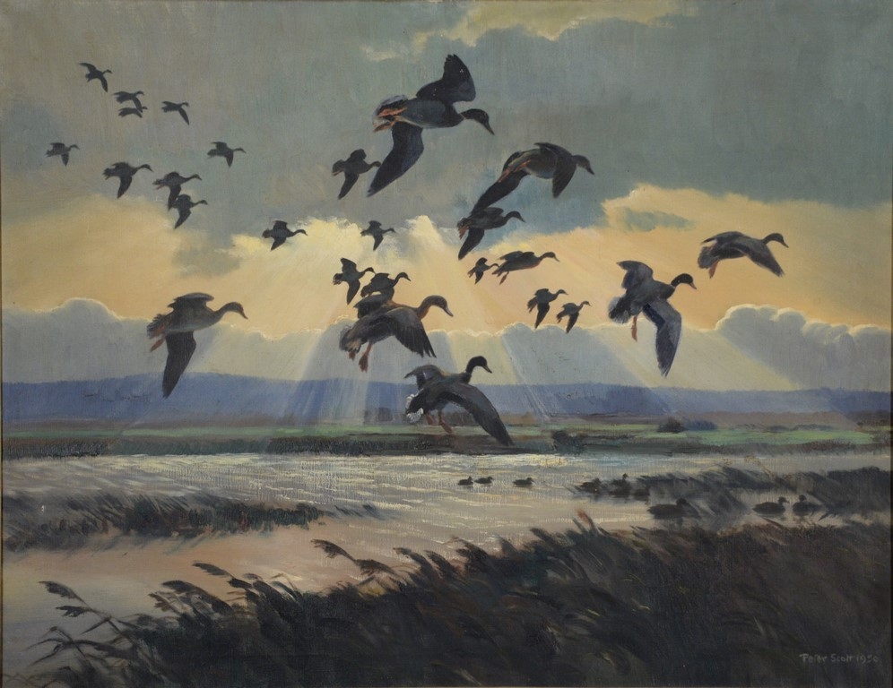 Peter Markham Scott | Duck over wetlands | MutualArt