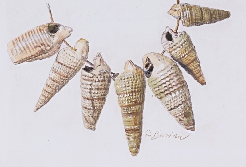 Zdeněk Burian | Homo Habilis Making Stone Tools | MutualArt