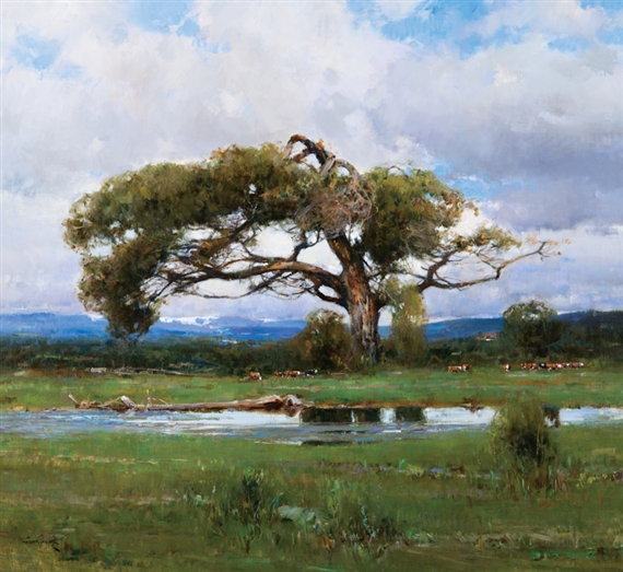 Cyrus Afsary | Arizona Green Desert | MutualArt