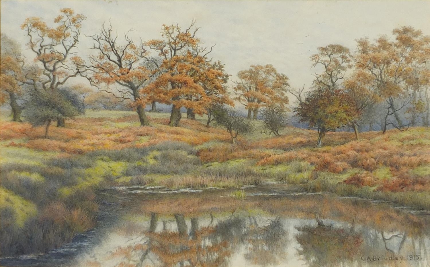 Charles A. Brindley | Richmond Park Pond | MutualArt