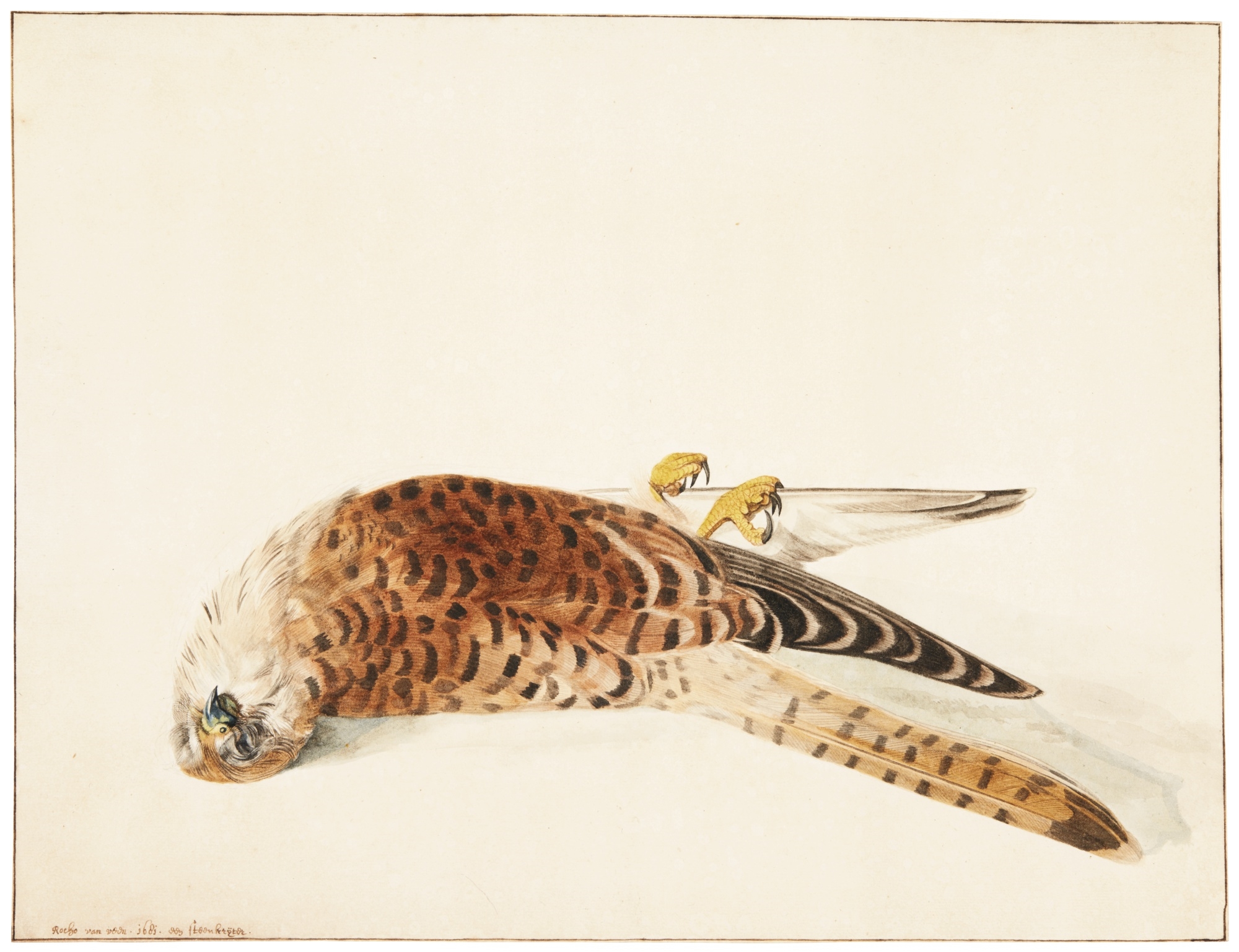 Rochus Van Veen | A DEAD FALCON (1681) | MutualArt