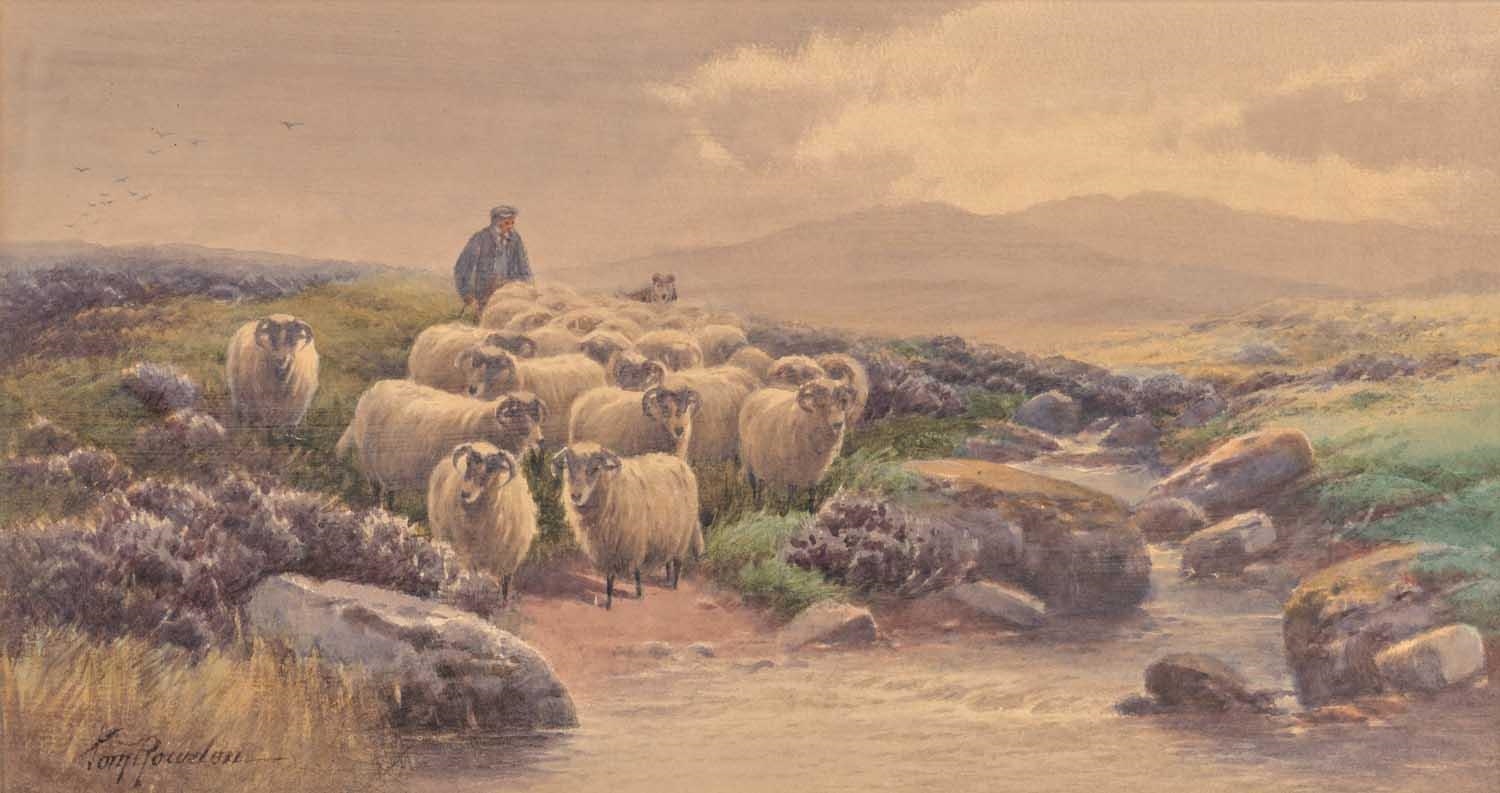 Thomas Rowden | Shepherd with Highland Sheep | MutualArt