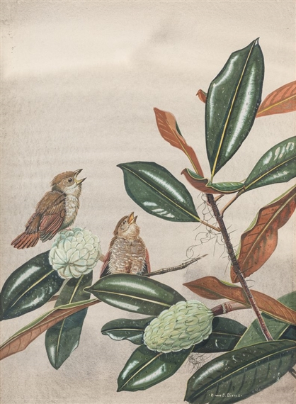 Edward von Siebold Dingle | 2 birds and Magnolia | MutualArt