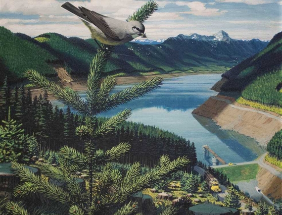 Jack Dumas | Flycatcher Over Tolt River Dam | MutualArt