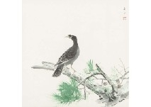 Kibo Kodama | Pine tree and bird | MutualArt