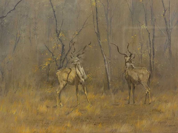 Kim Donaldson | Kudu Bulls | MutualArt