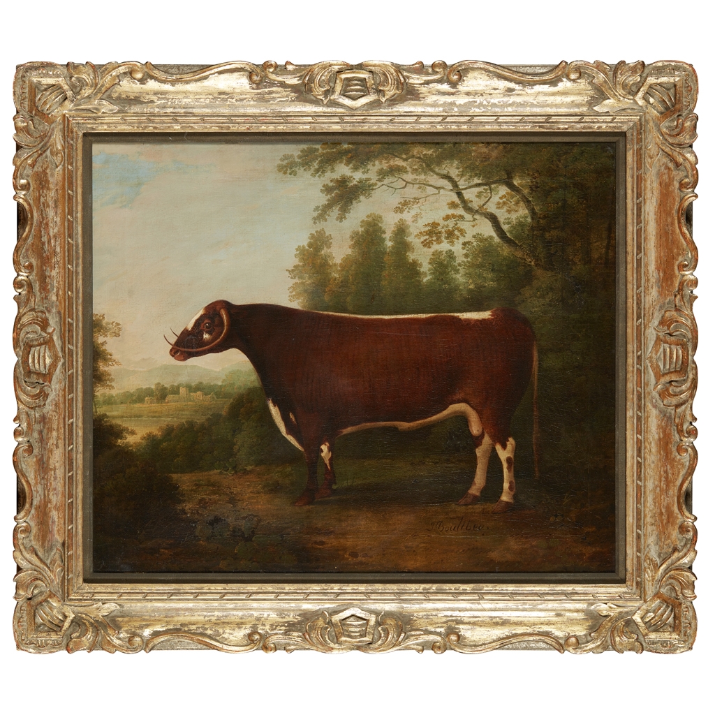 John Boultbee | PORTRAIT OF A BULL | MutualArt