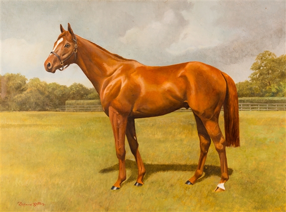 Richard Britton | Pitasia/(portrait of a racehorse) | MutualArt