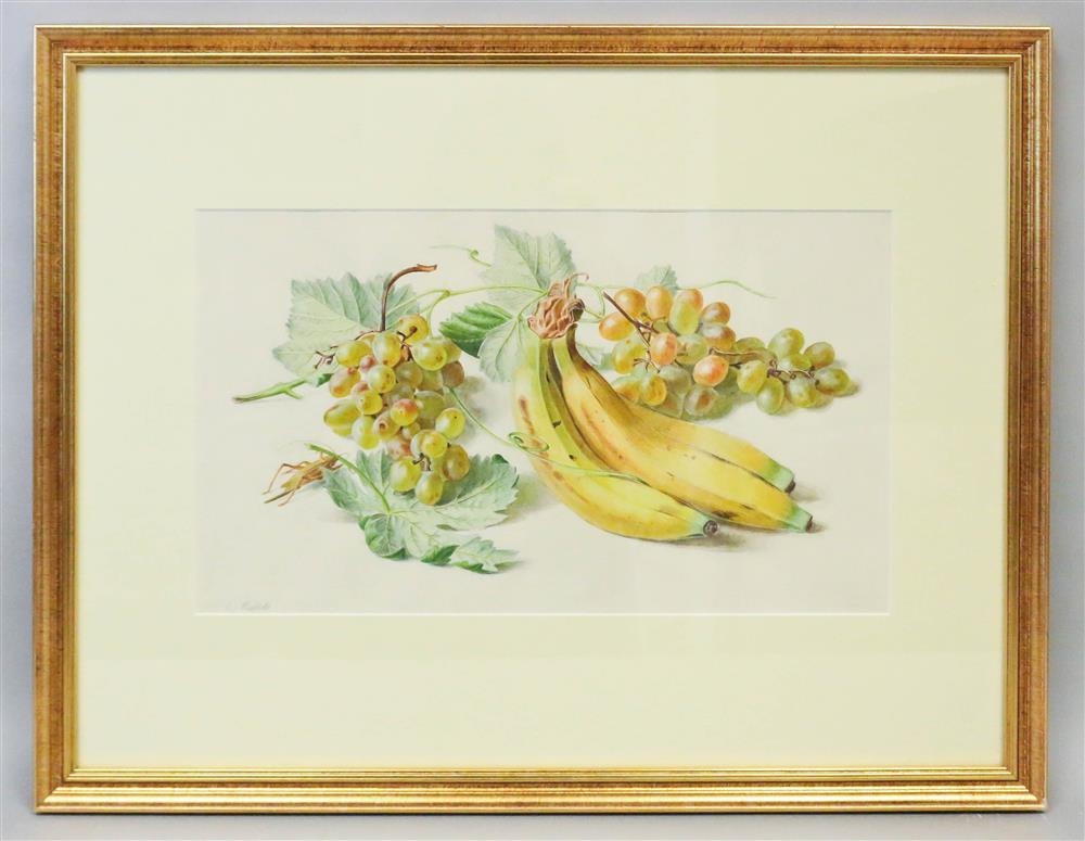 Carlos von Riefel | STILL LIFE | Compare similar artworks | MutualArt