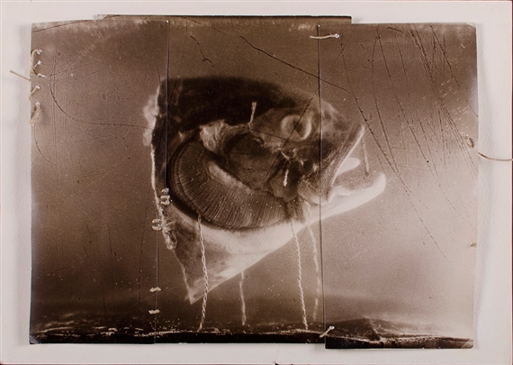 Alexander Apostol | Cabeza de pez (1992) | MutualArt