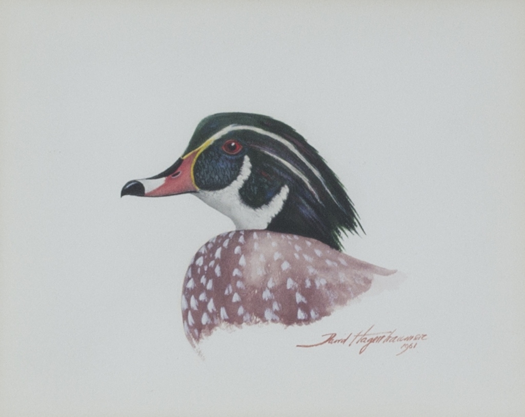 David Hagerbaumer | Wood Duck (1961) | MutualArt