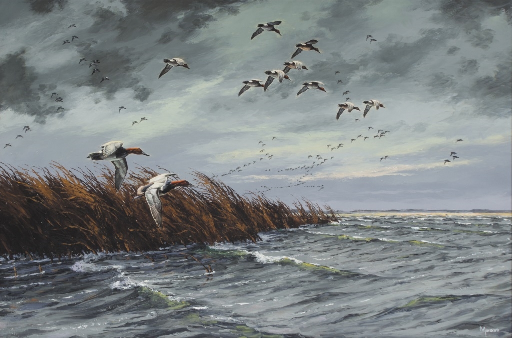 David Maass | Homestead Covey-Bobwhite Quail | MutualArt