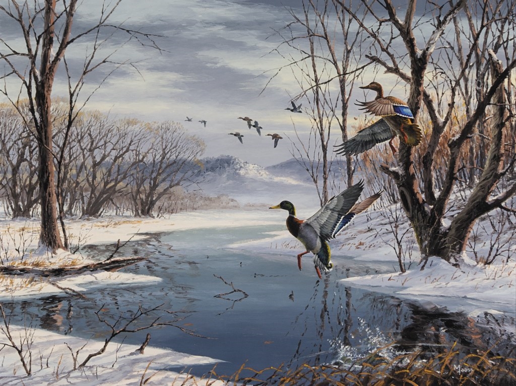 David Maass | Mallards in Winter | MutualArt