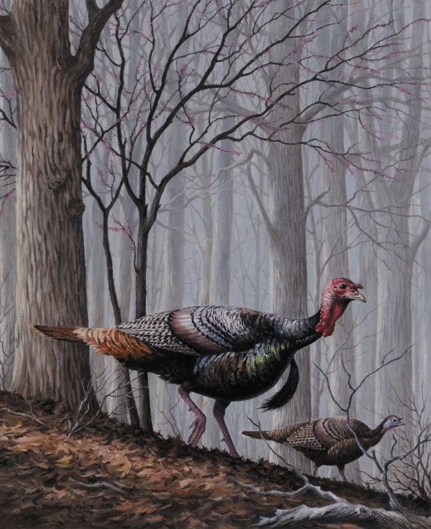 Maynard Reece | Turkeys (1989) | MutualArt