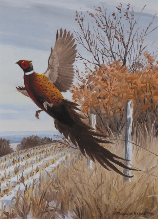 Maynard Reece | Pheasant (1990) | MutualArt