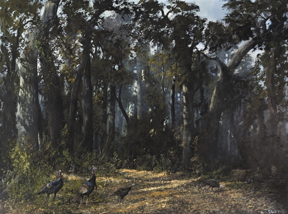 C. Ford Riley | Wild Turkey | MutualArt