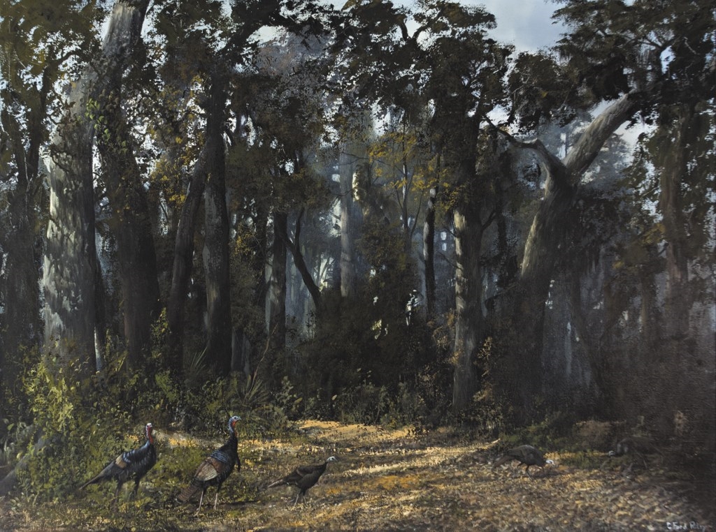 C. Ford Riley | Wild Turkey | MutualArt