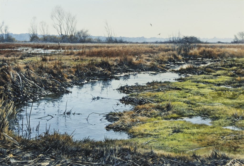 Robert Verity Clem | Marsh Landscape | MutualArt