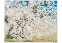 Chinami Nakajima | Weeping cherry tree of wisdom Council | MutualArt