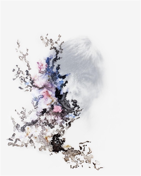 Allie Wilkinson | Artist Overview | MutualArt