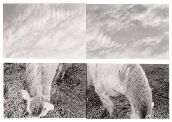 Sara Leith-Tanous | 2 Artworks | MutualArt