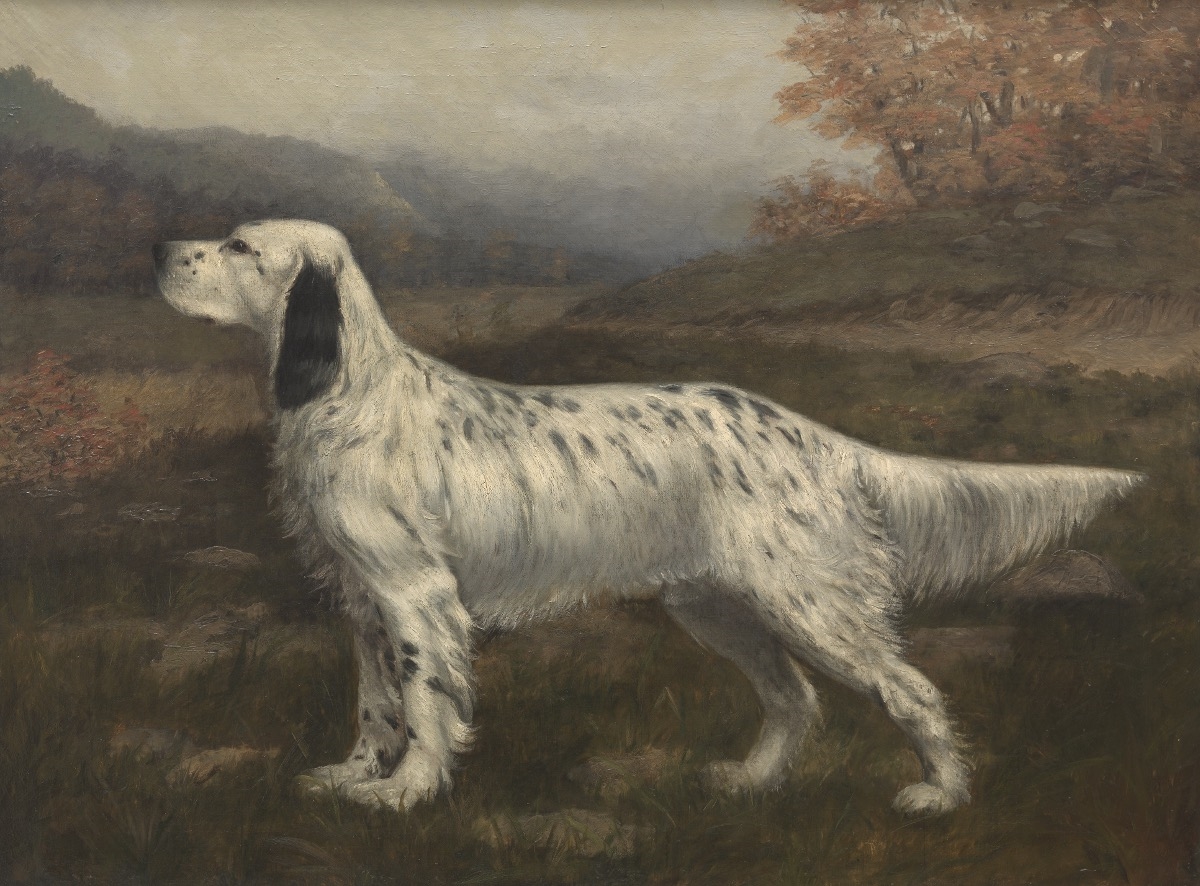 John Wootton | Portrait of an English Setter | MutualArt