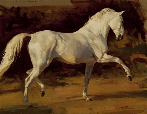 Andre Pater | STUDY OF A LIPIZZANER | MutualArt