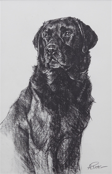 Andre Pater | BLACK LAB | MutualArt