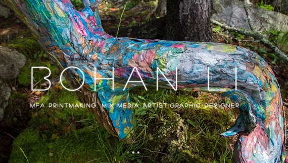 Bohan Li | Artist Overview | MutualArt