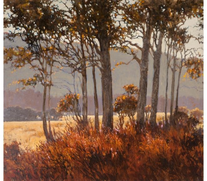 Don Irwin | Sloping Hills (1970) | MutualArt