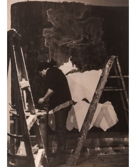 Donald Sultan | Visual Poetics. Complete album of 6 screenprints with ...