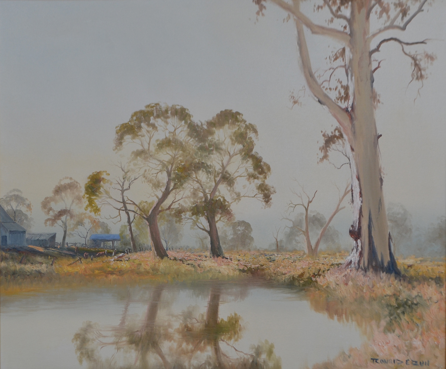 Ronald Elliot Bull | SNOW GUM REFLECTIONS | MutualArt