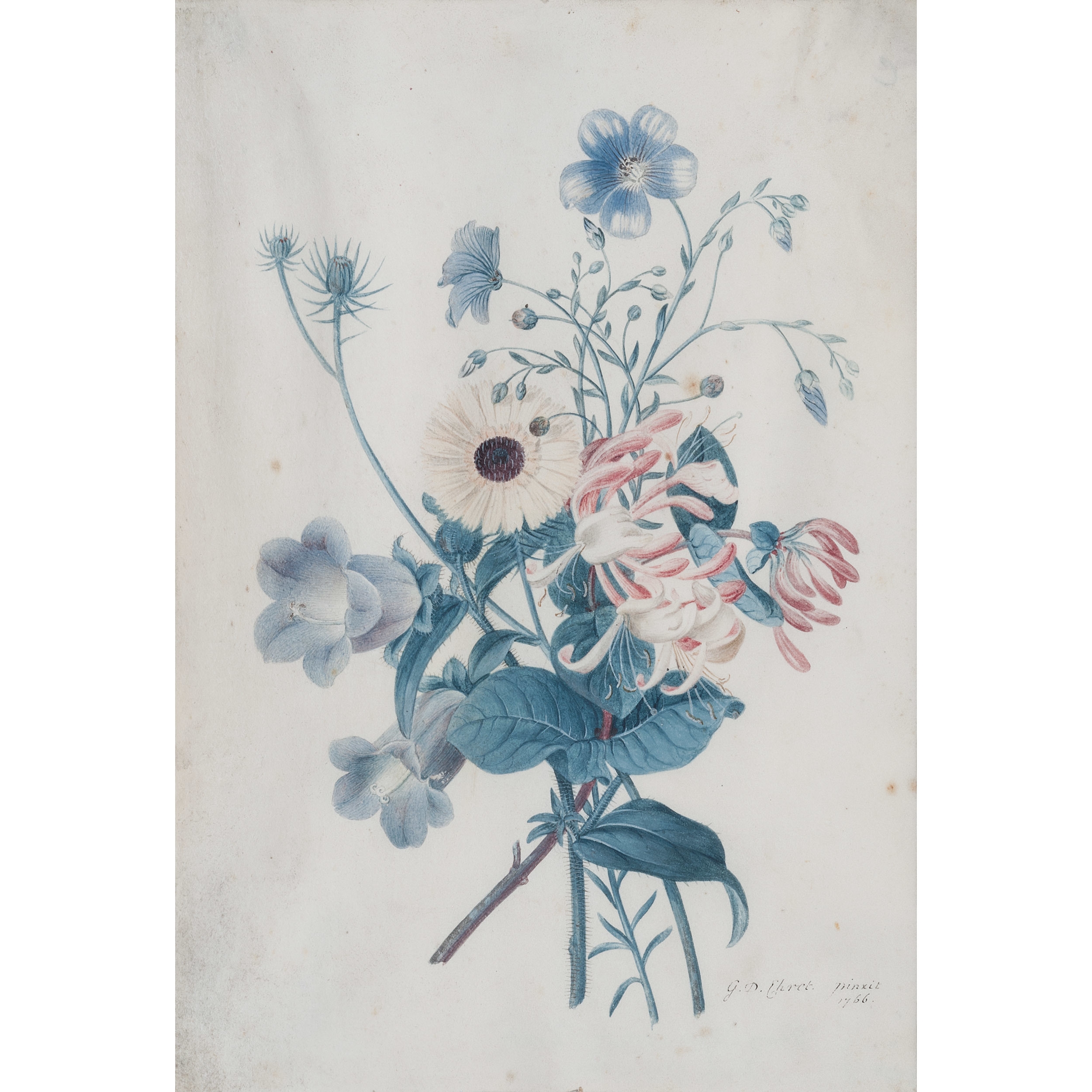 Georg Dionysius Ehret | depicting a flower bouquet (1766) | MutualArt