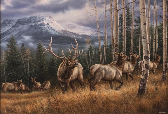 Rosemary Millette | Performance at Auction | MutualArt