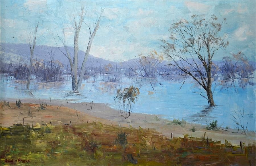 J. Colin Angus | Lake Mokoan | MutualArt