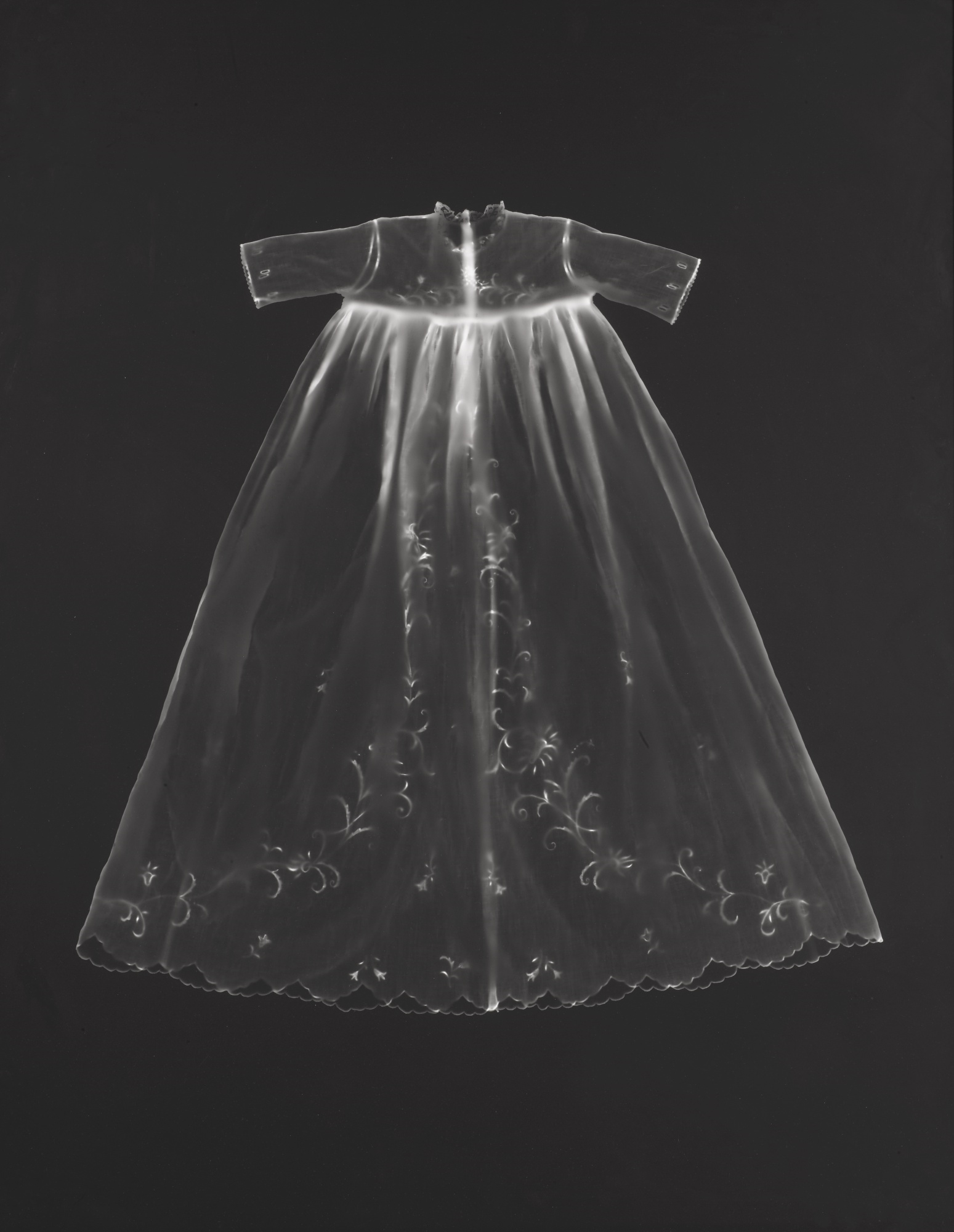 Adam Fuss | ARK (2005) | MutualArt