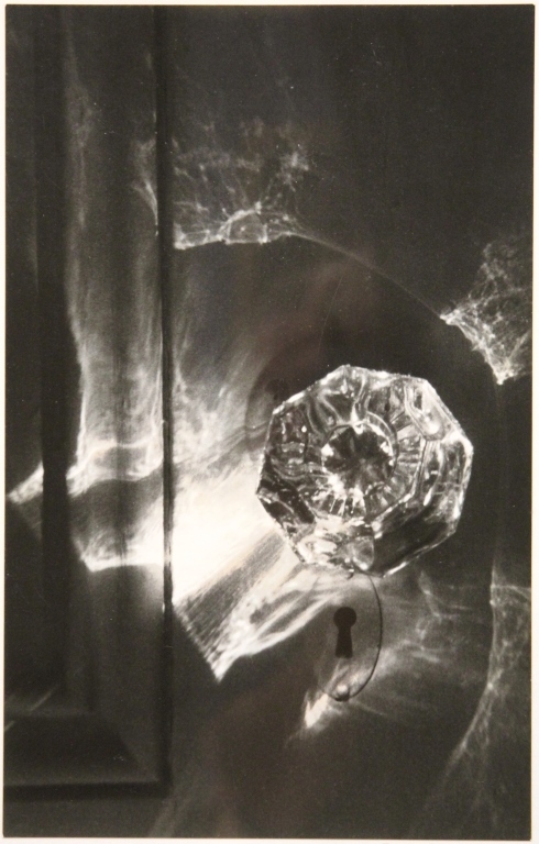 Ruth Bernhard | Untitled | MutualArt