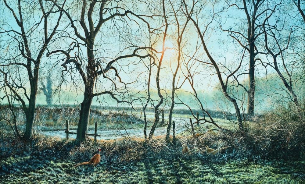 Neil Spilman | Resting in Winter Light | MutualArt