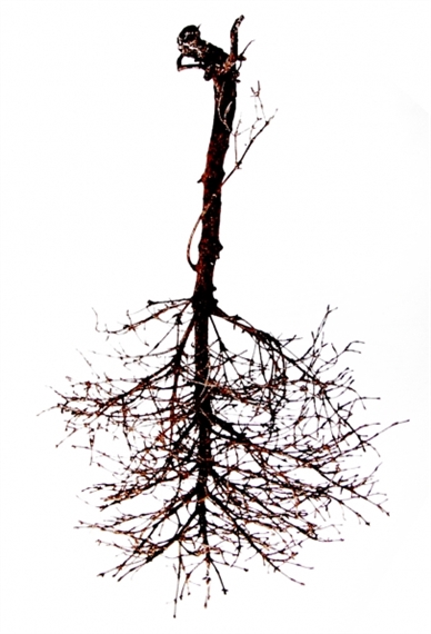 Joe Hanly | Artist Overview | MutualArt