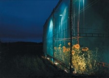 Ilkka Halso | 12 Artworks at Auction | MutualArt