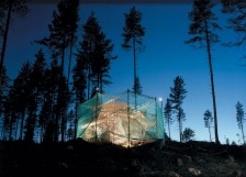 Ilkka Halso | 12 Artworks at Auction | MutualArt