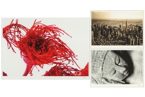 Jesse Kalisher | 5 Artworks | MutualArt