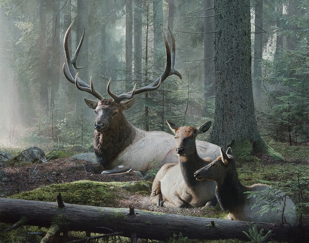 Jay Kemp | The King's Lair (2017) | MutualArt