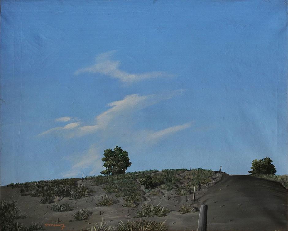 Pablo Suarez | PAISAJE | MutualArt