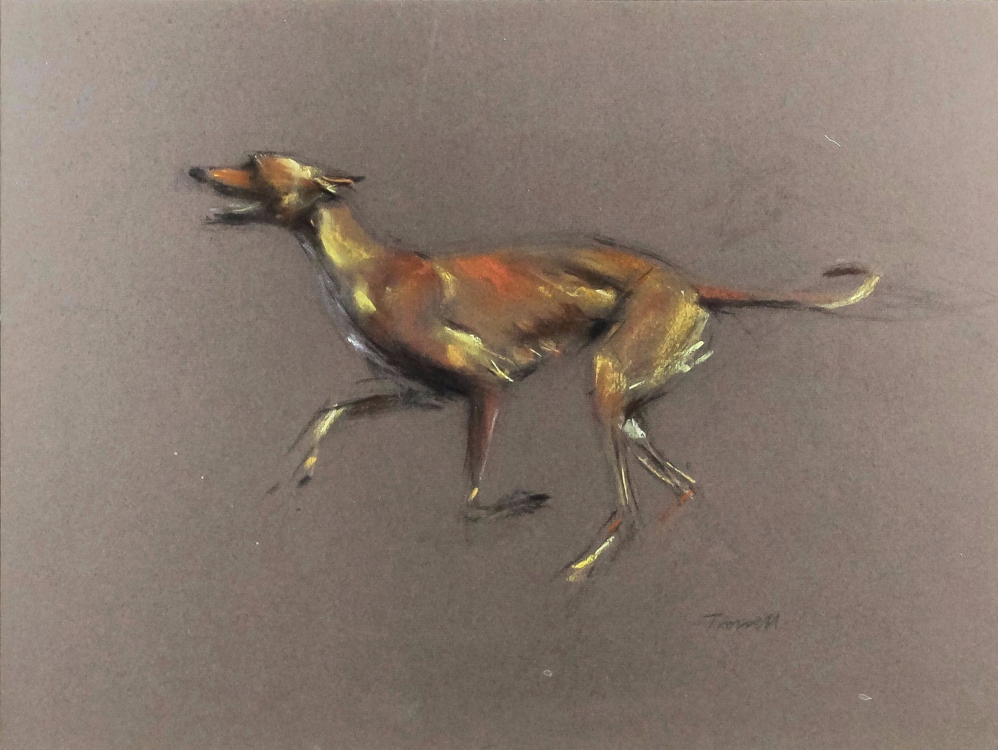 Jonathan Trowell | Study of a running greyhound | MutualArt