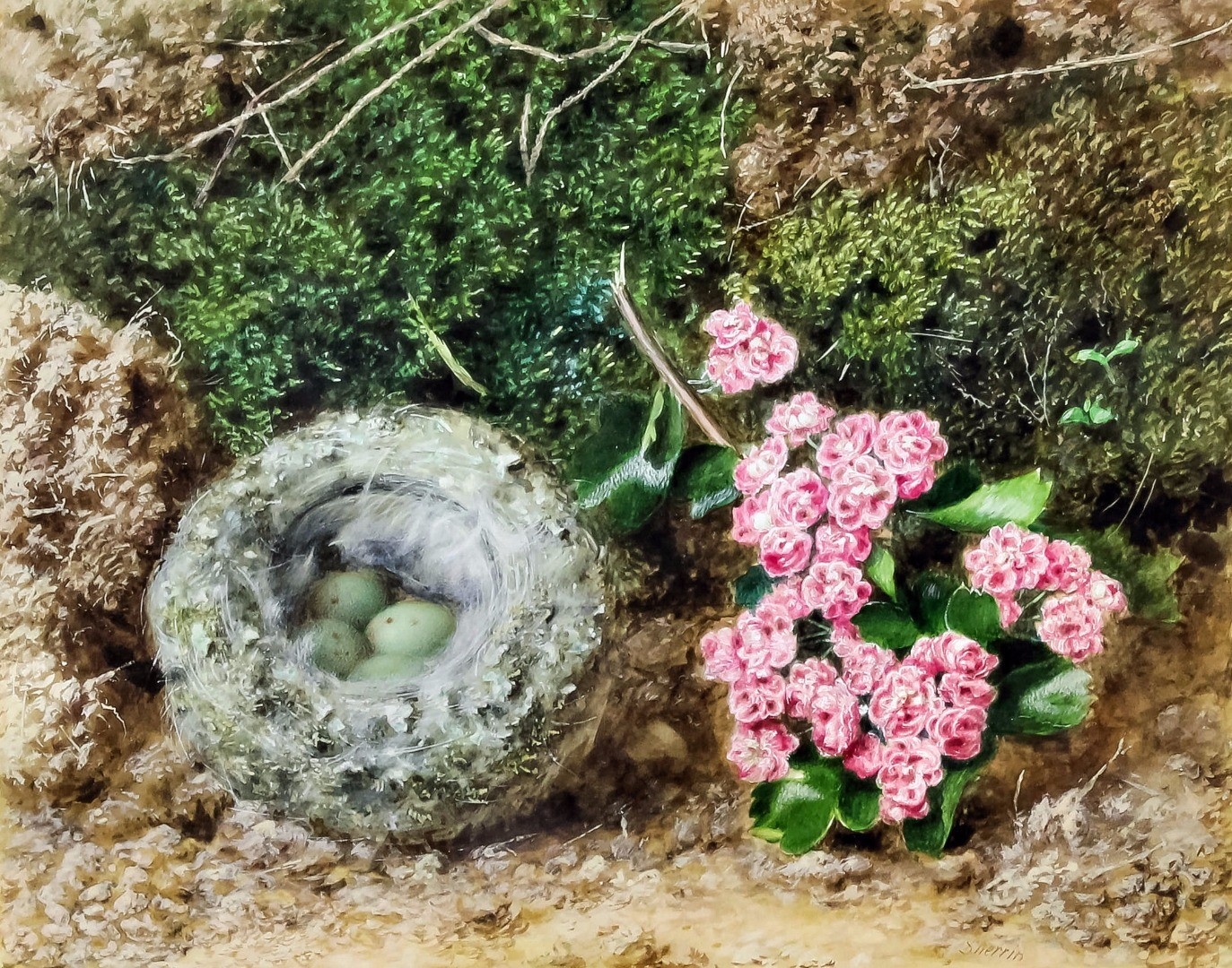 John Sherrin | Still life of bird nest and flowers | MutualArt